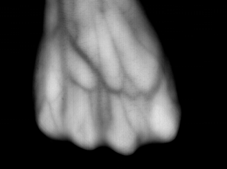 Closed Fist Hand Annotations Object Detection Dataset by Yash