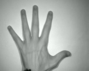 Hand Annotations Semantic Segmentation Dataset by Yash