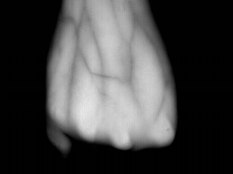 Hand Annotations Object Detection Dataset V4 2024 10 13 9 17pm By Yash