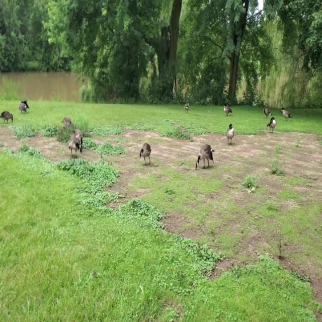 intro (intro-rbjqa) - Roboflow Universe