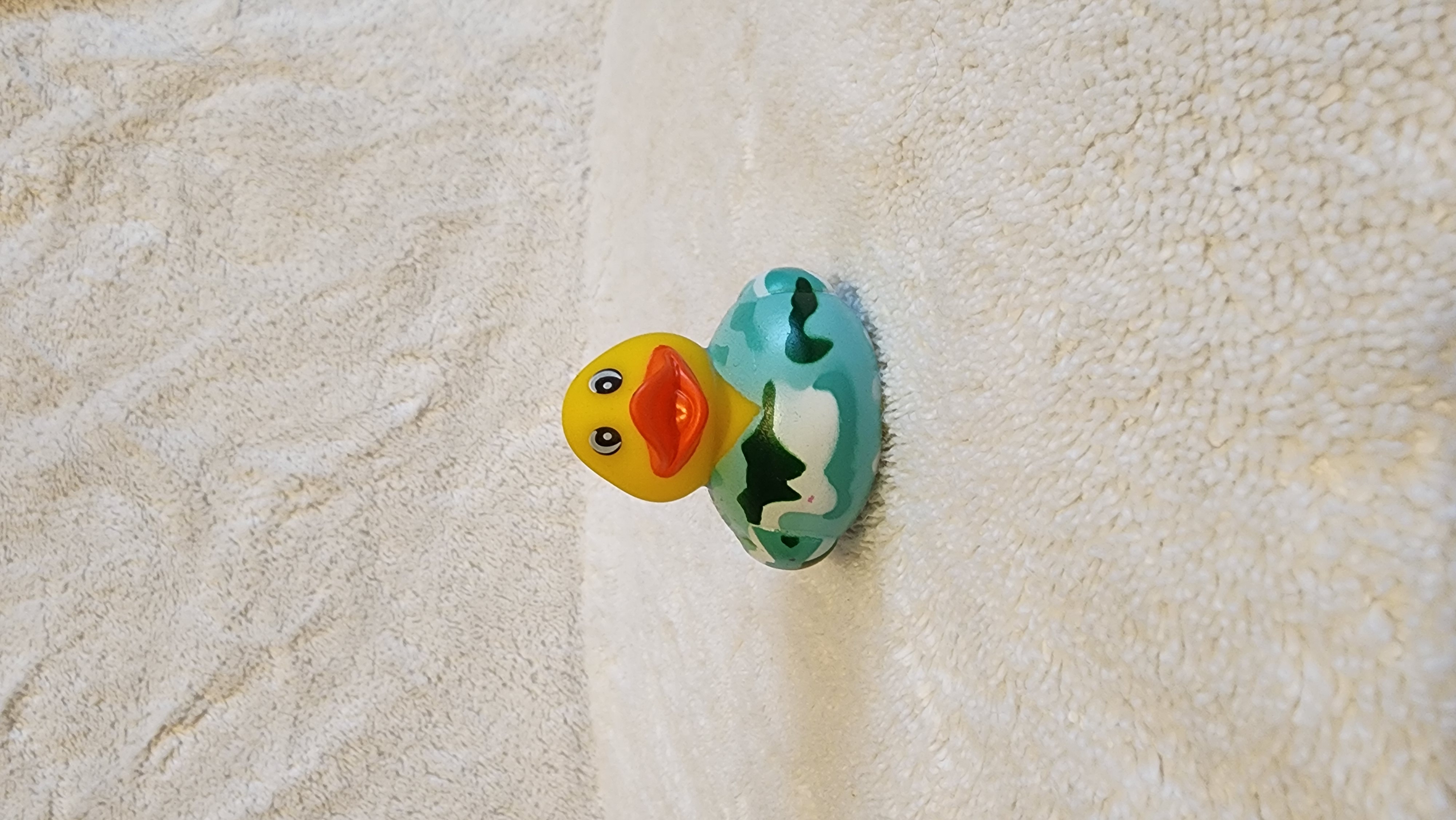 Duck-Detection Object Detection Model by BLOBEye