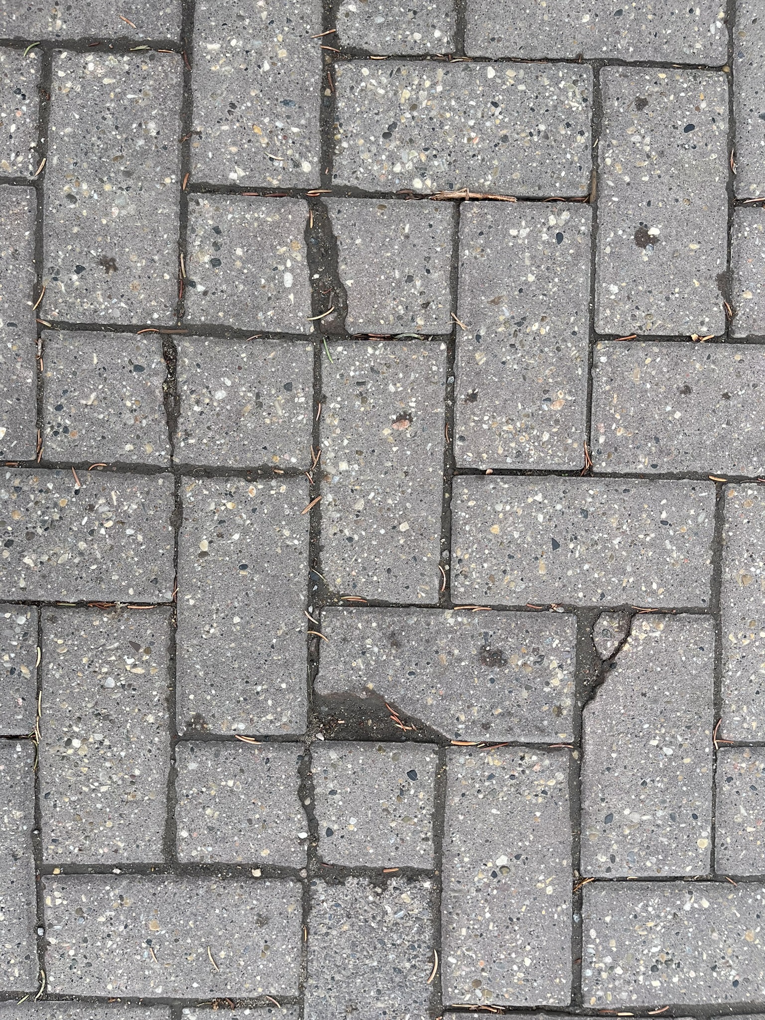 craft-pothole Instance Segmentation Dataset by potholesemanticsdataset