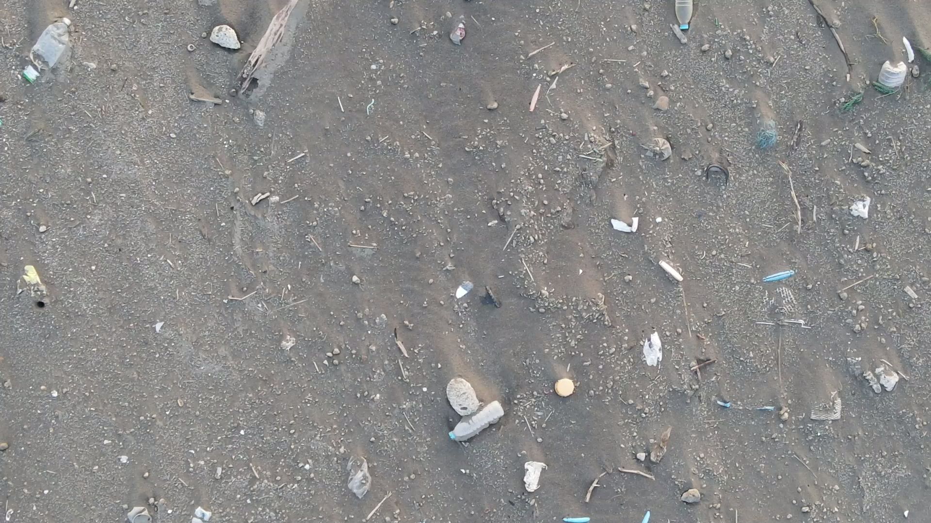 Dgodv002 Object Detection Dataset By Joey Lin