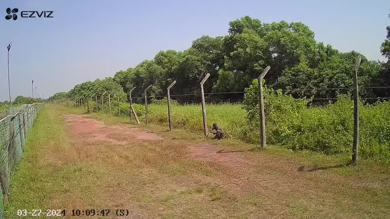 Abnormal Event Object Detection Dataset And Pre Trained Model By Rd Team