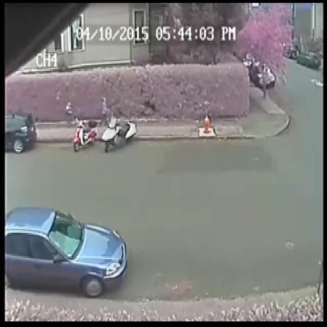 crime Object Detection Model by Project