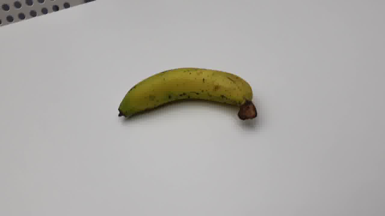 Trash Detection Object Detection Dataset By Rettina Net
