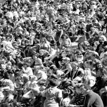 crowd counting Object Detection Model by Naveen