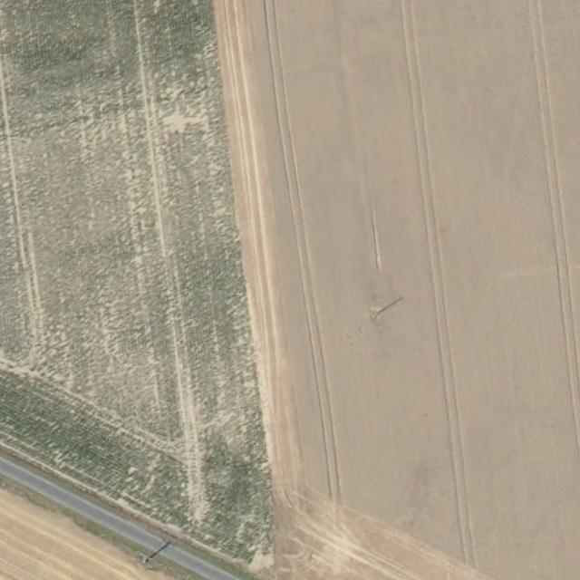 treesegmentationproject Instance Segmentation Model by myworkspace