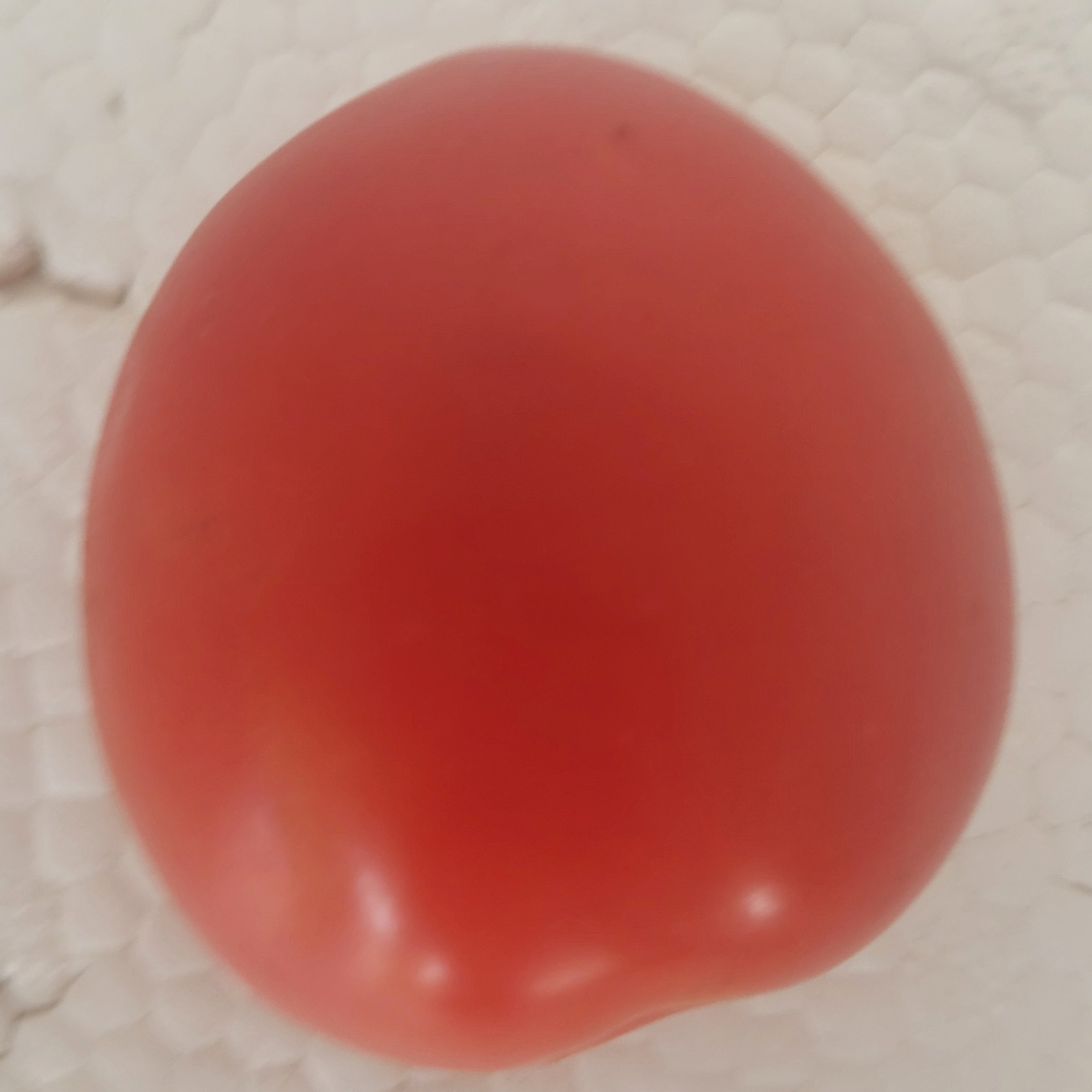tomato Object Detection Dataset by vision