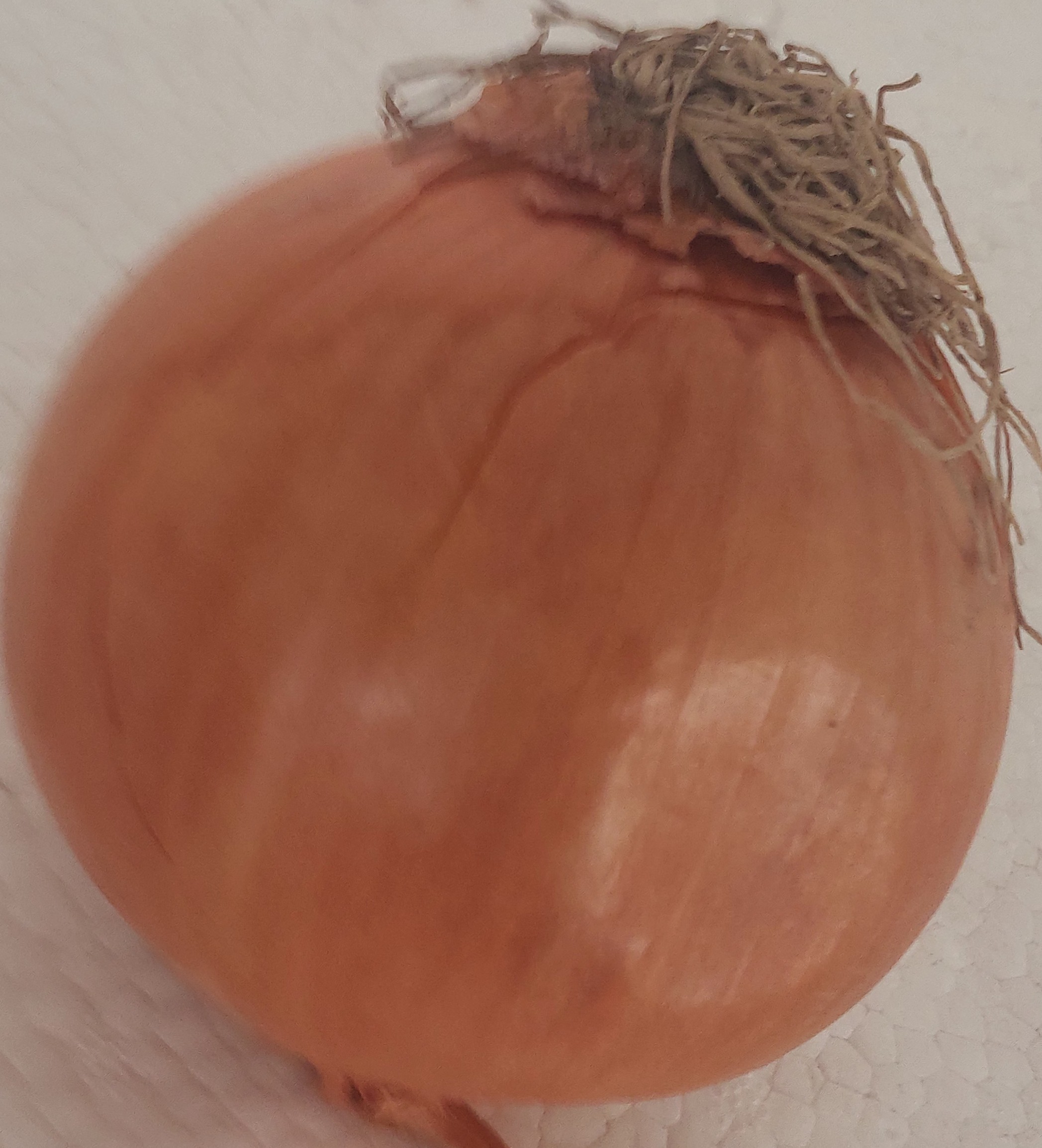 onion Object Detection Dataset by vision