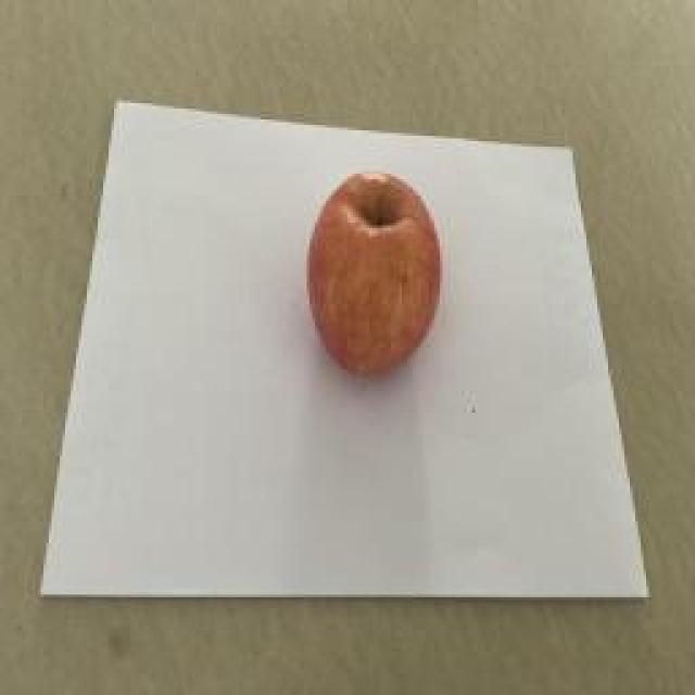 apple Object Detection Dataset by pallet