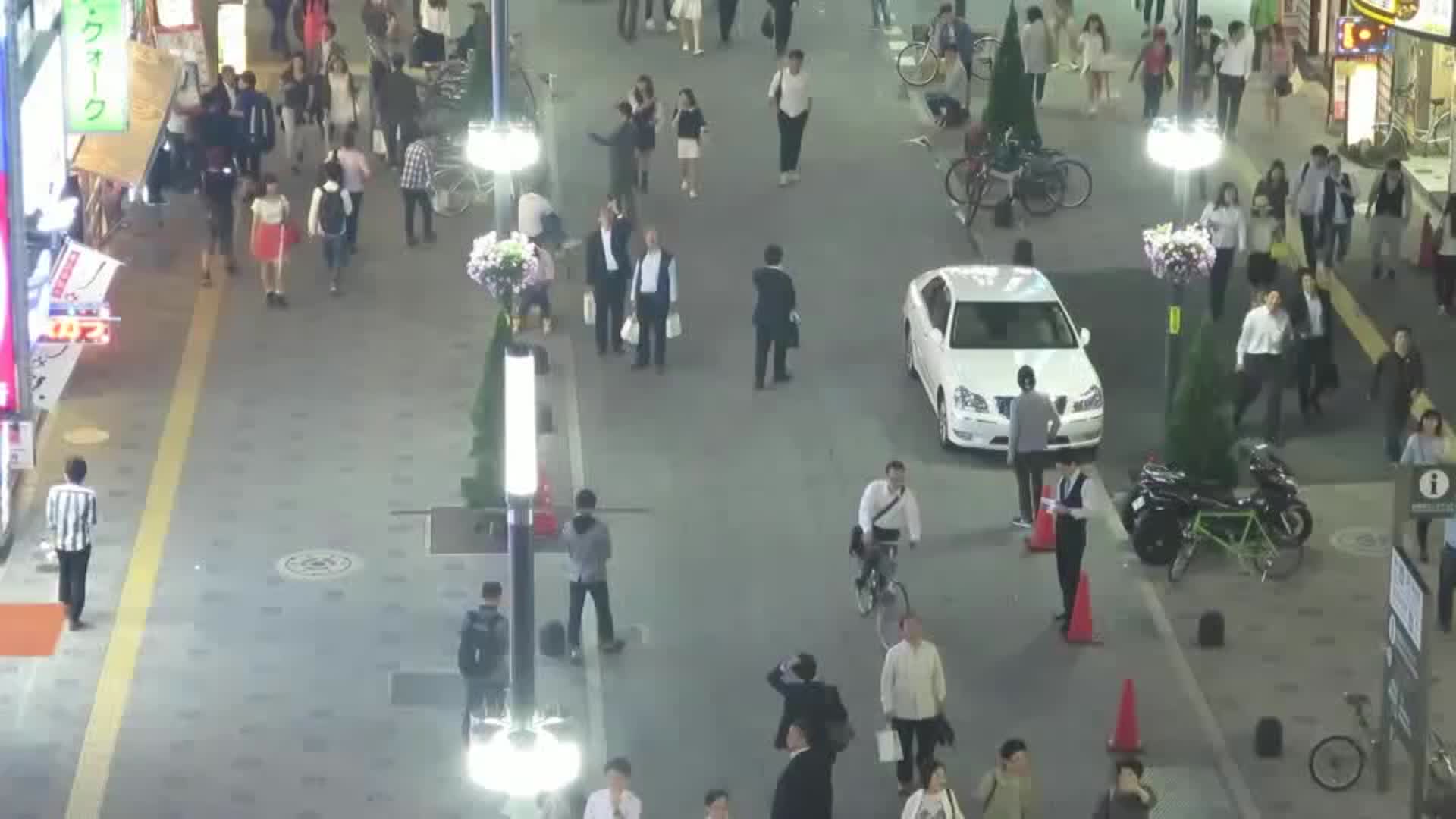 japan-street Object Detection Dataset by GerardC