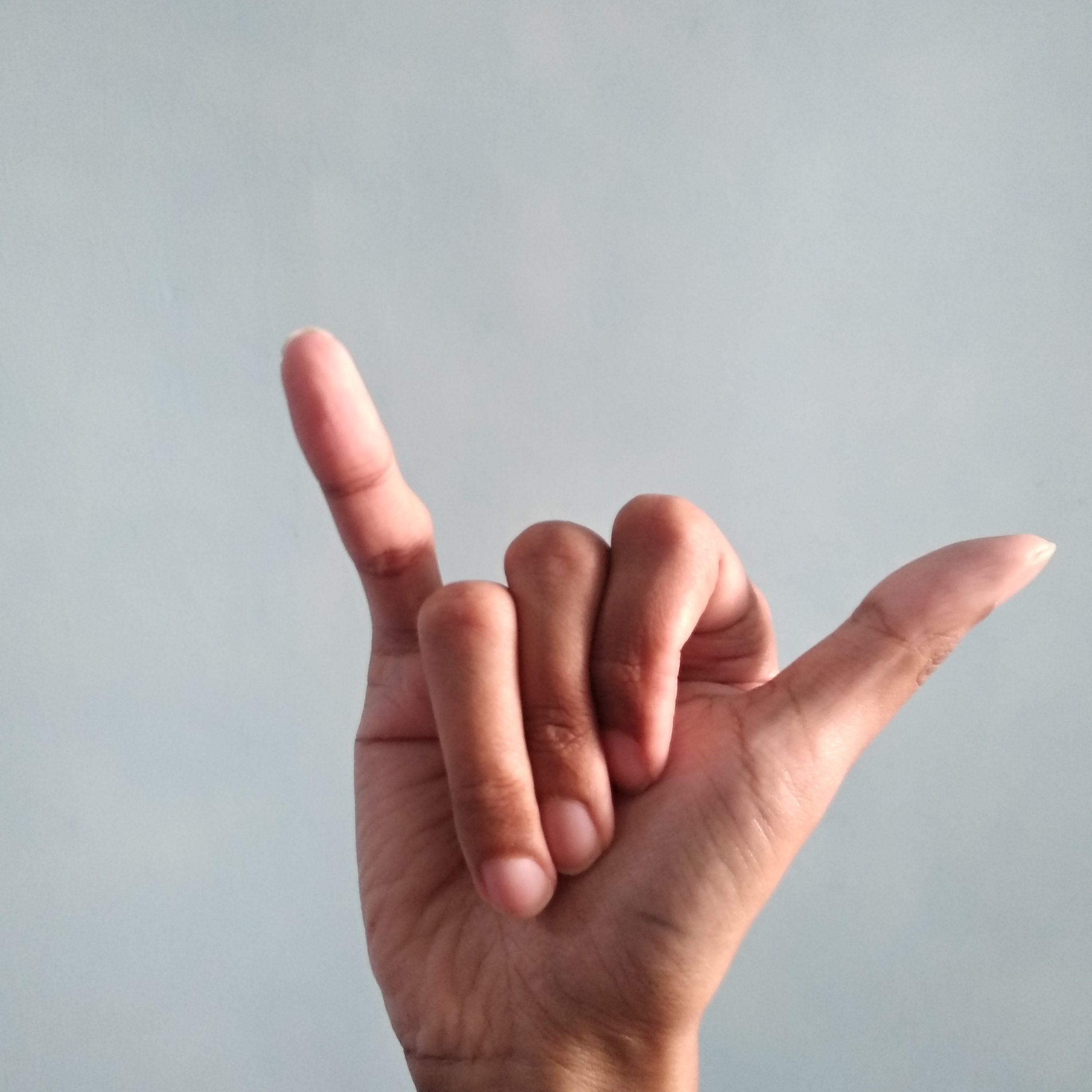 Indonesian Sign Language System Object Detection Model by iamstudentTI