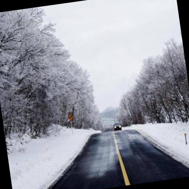 B Object Detection Dataset By Yeeun Kim