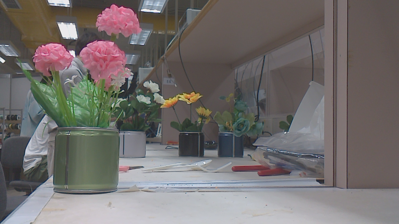 Idp Flower Object Detection Dataset By Justin Workspace