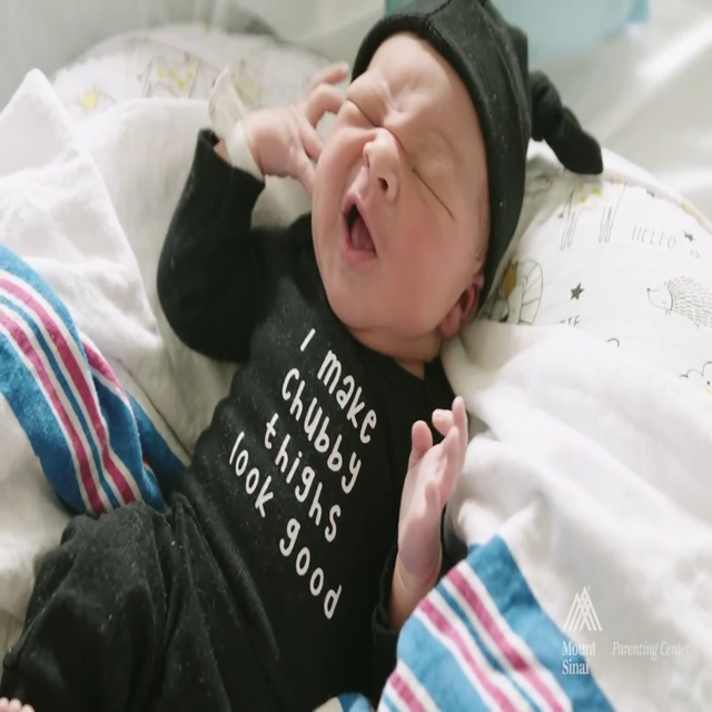 Neonates Object Detection Dataset By Sudip