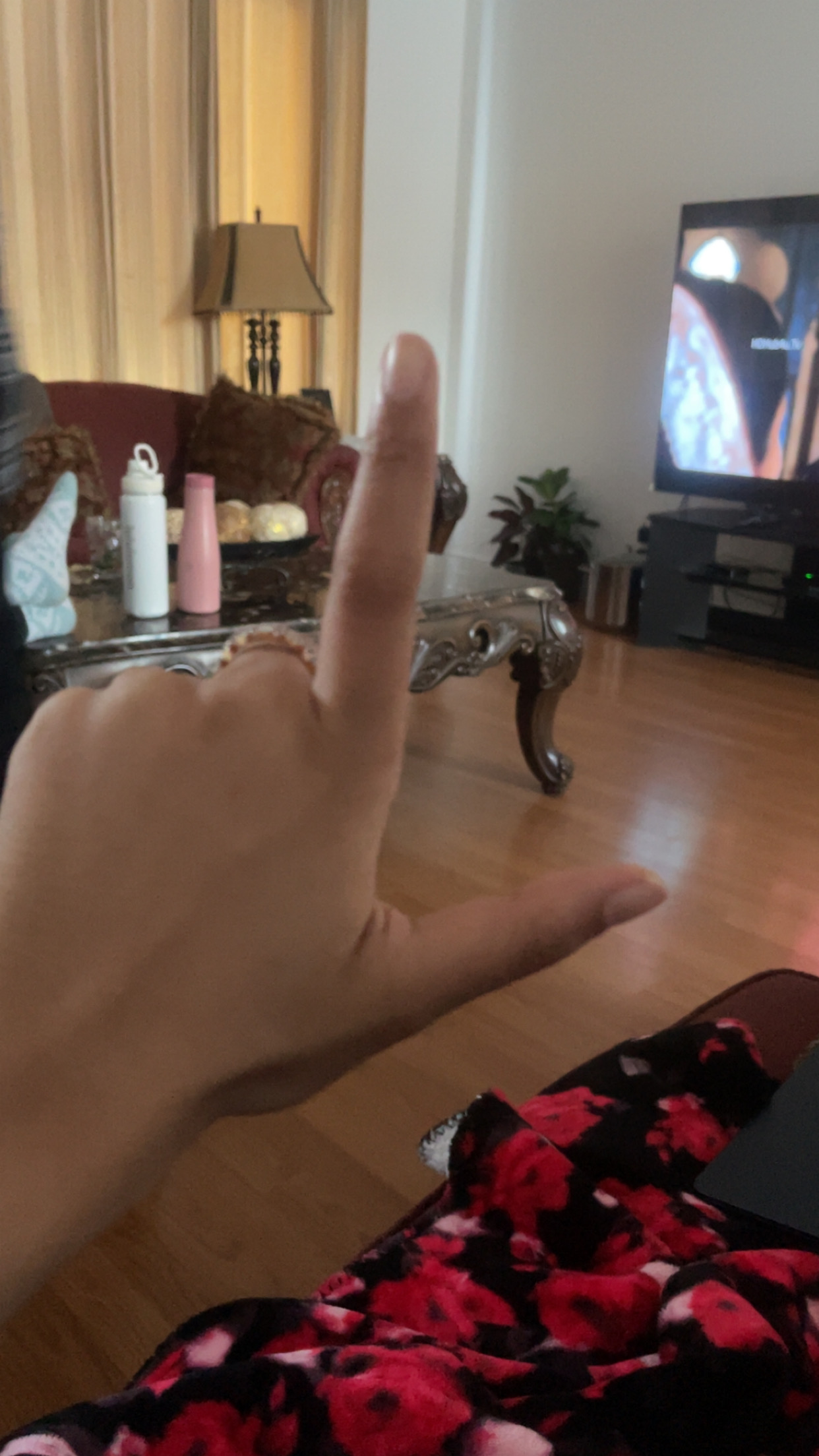 Letter L Object Detection Dataset by asl