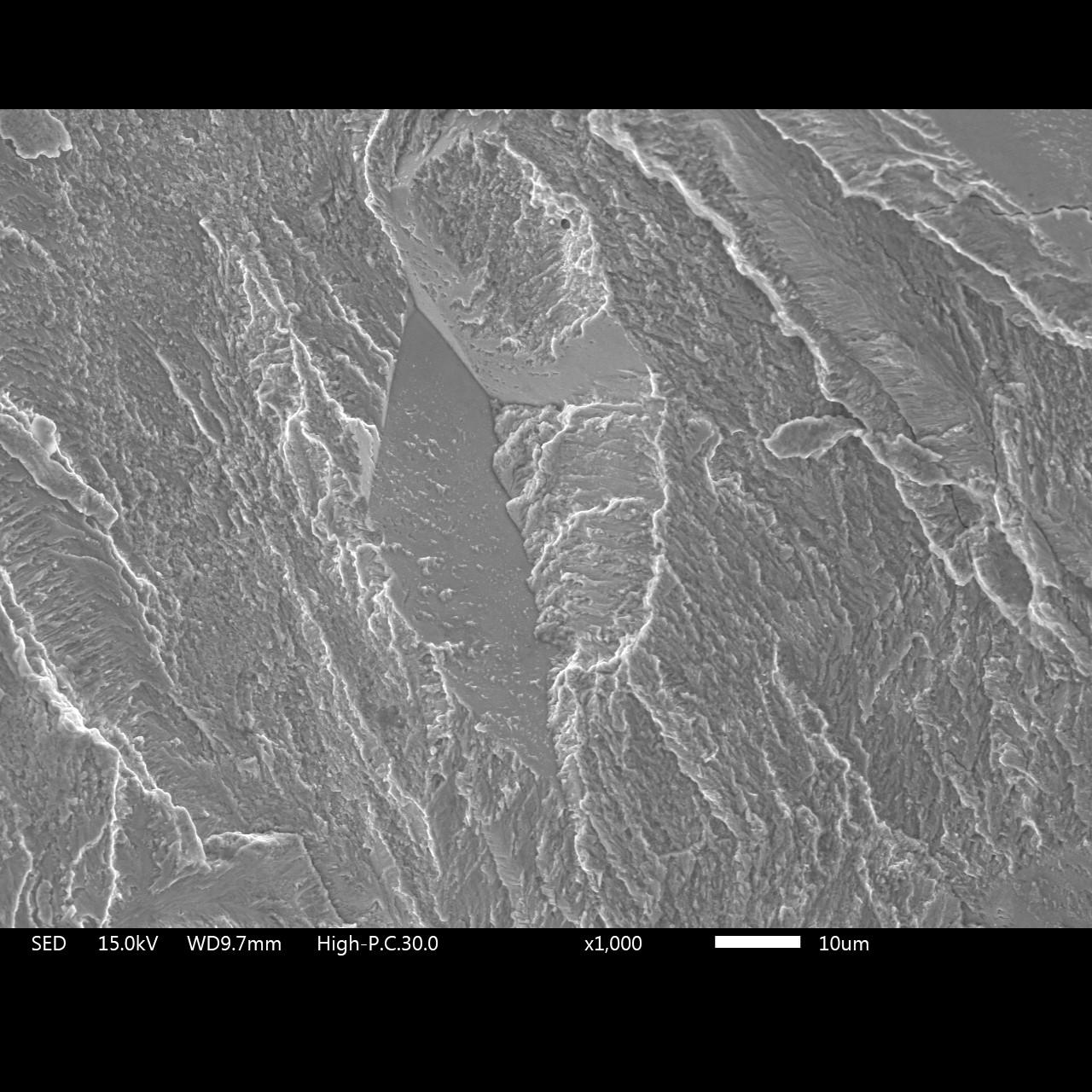 How To Use The Crs Object Detection Api