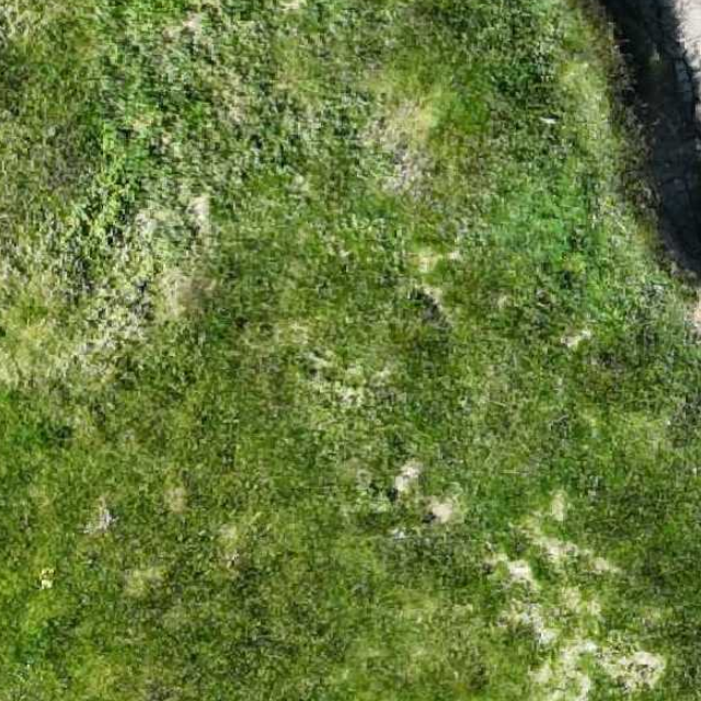 Aerial Gull Detection Object Detection Dataset and Pre-Trained Model by Aerialdetection