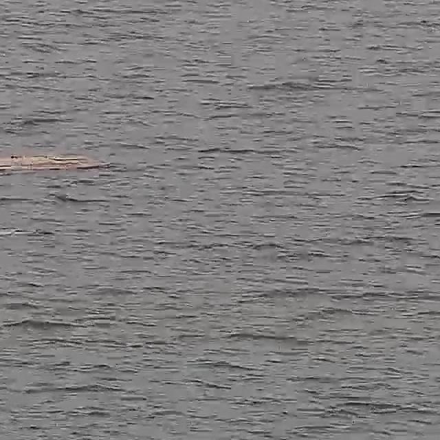 Ship Detect Object Detection Dataset By Yolo