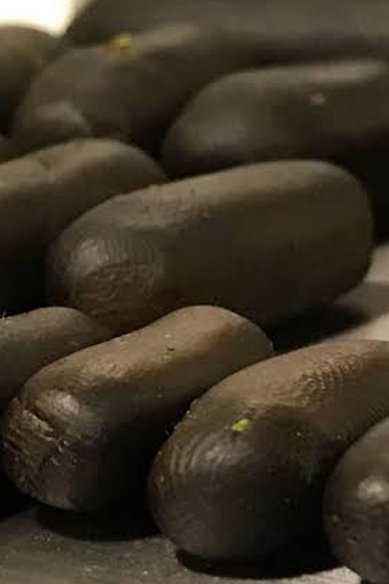 Drug detection Object Detection Model by project