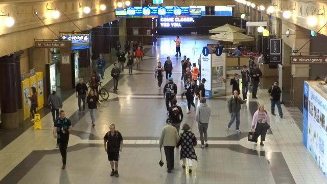 rf-detr MOT Object Detection Model by hunain