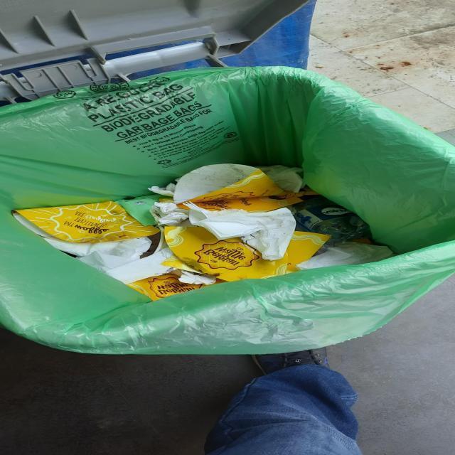 solidwaste Object Detection Dataset by kodiworkspace