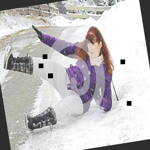 fallv2 Object Detection Dataset by luft