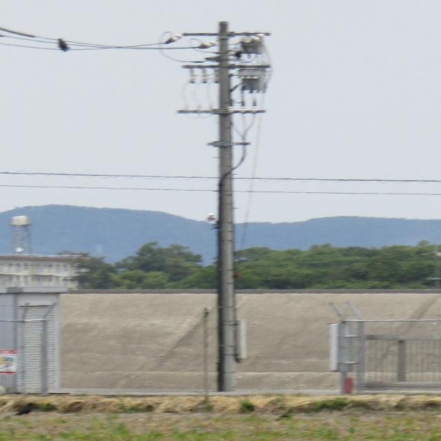 utility poles 2024 Object Detection Dataset and Pre-Trained Model by Arnold Lk