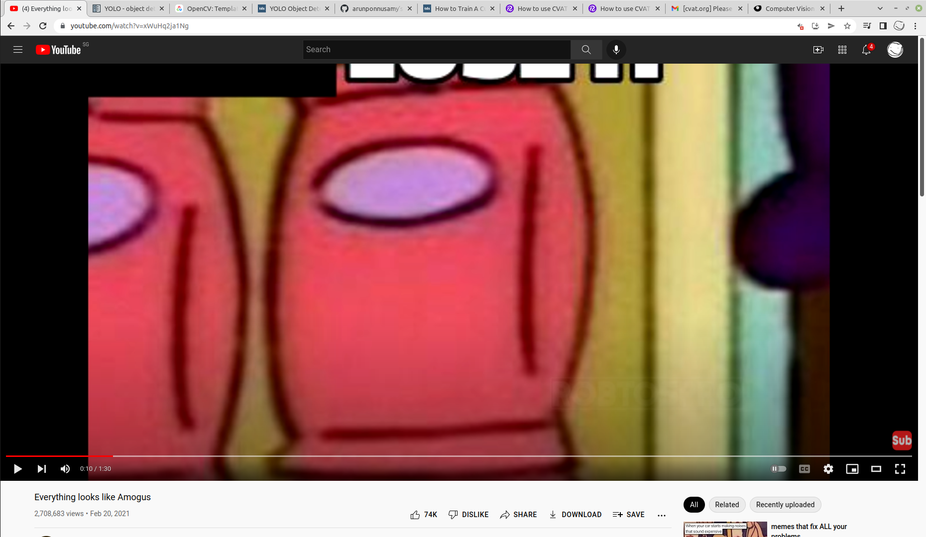 sus Object Detection Dataset and Pre-Trained Model by sus