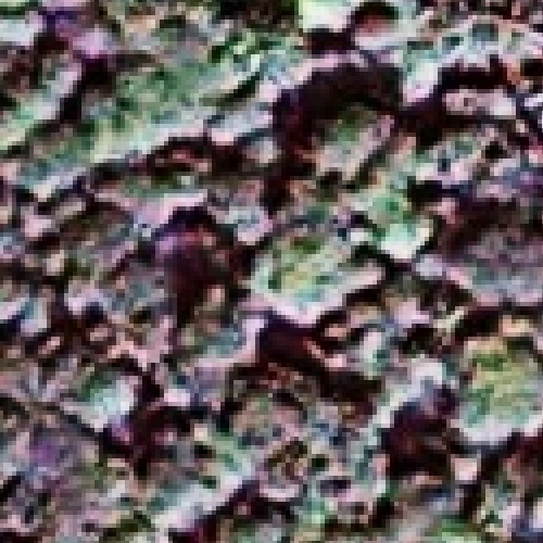 Tree Count Object Detection Dataset And Pre Trained Model By Object Detection