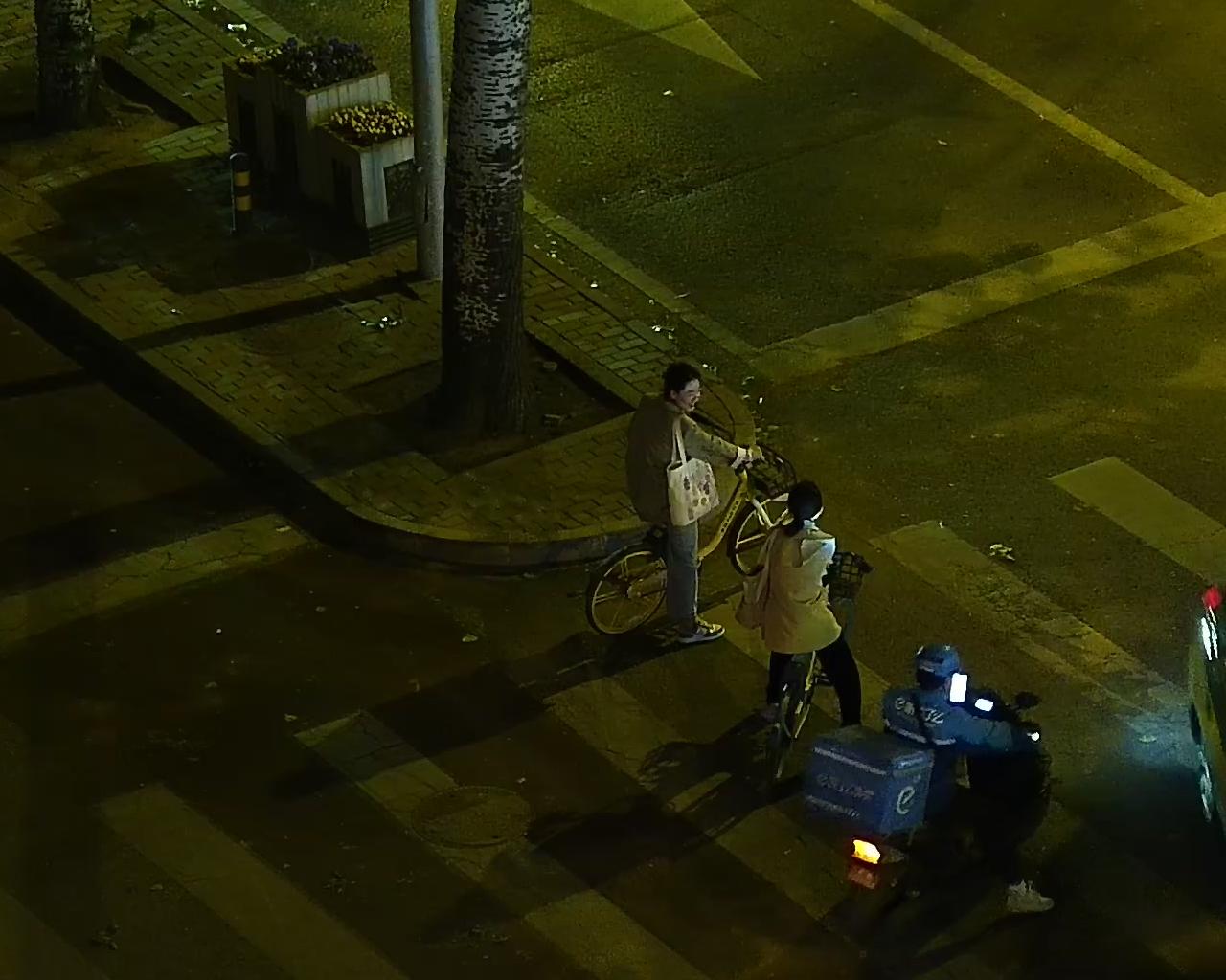 Pedestran Low Light Object Detection Dataset And Pre Trained Model By Romain