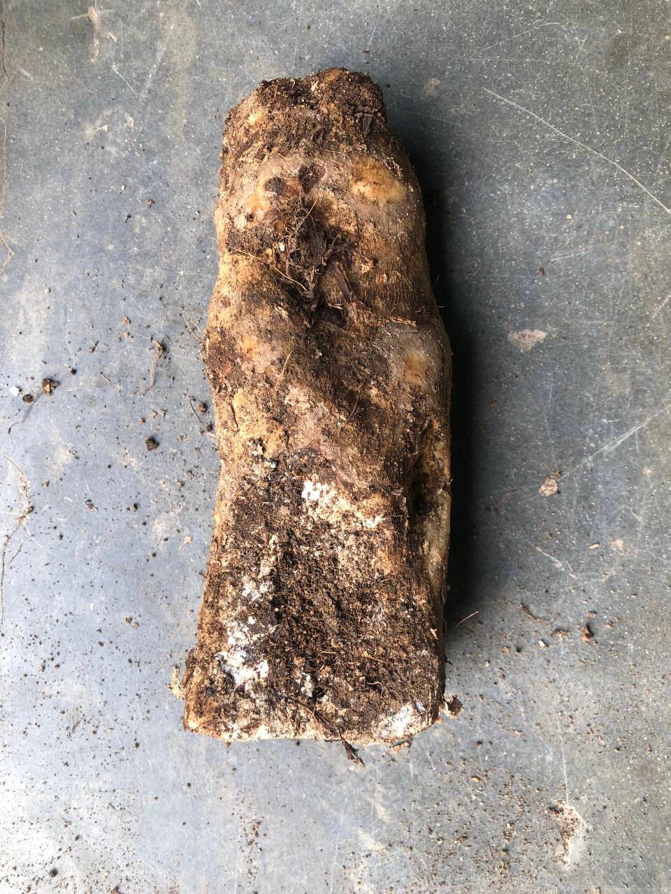 Deep Learning (deep-learning-lu2rd) - Roboflow Universe