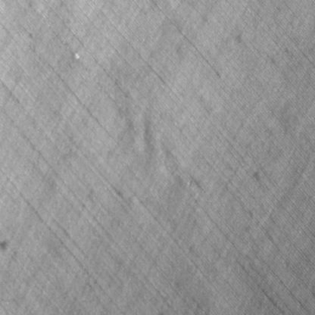 Project Image Annotation Object Detection Dataset By Vesit