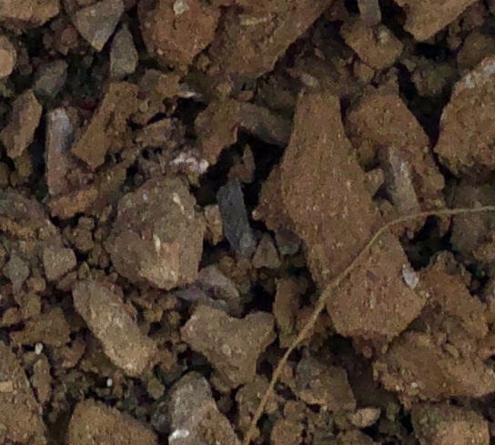 coco dataset Instance Segmentation Dataset by alpha1004