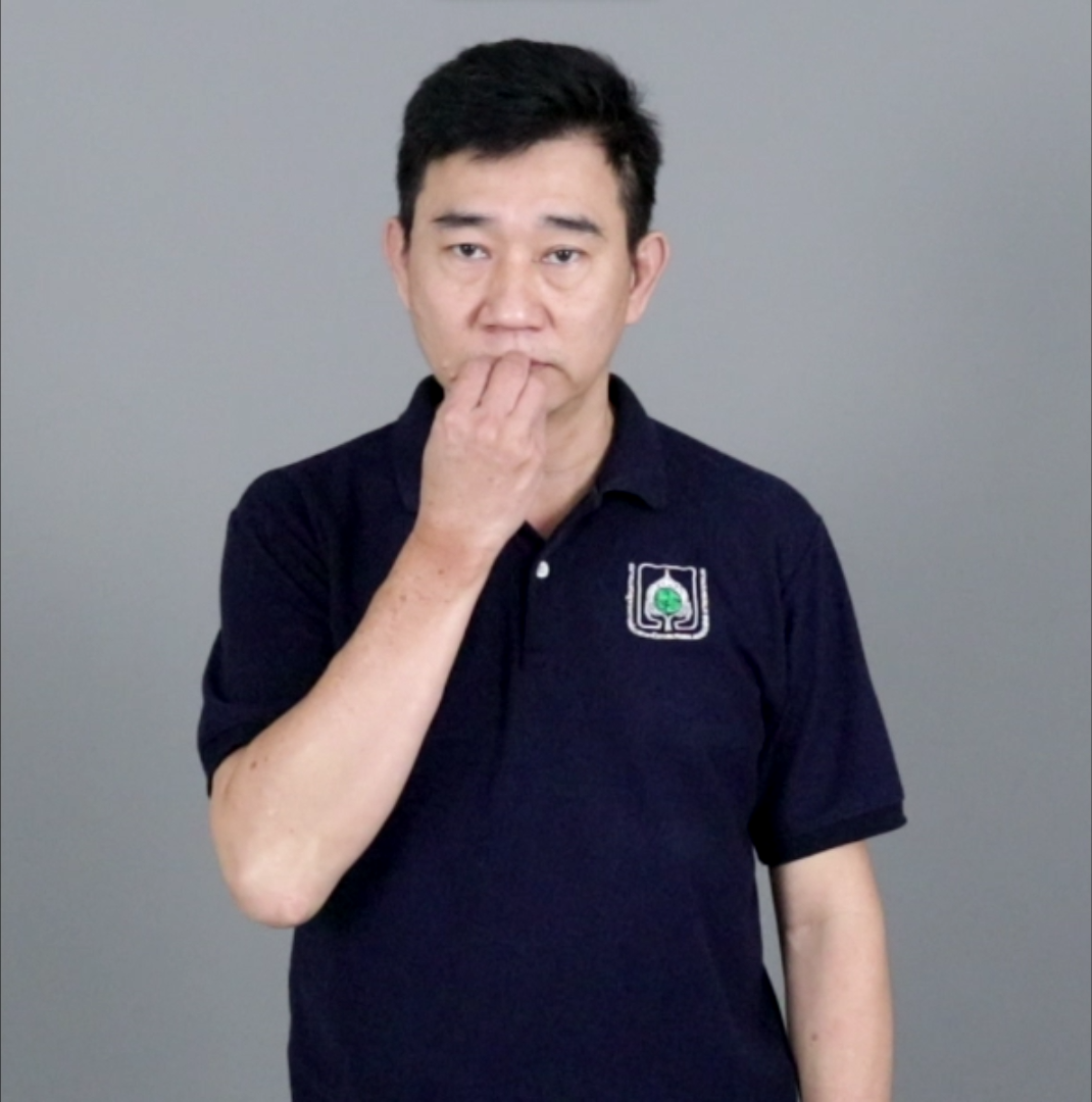 THSL RECOGITION - Roboflow Universe