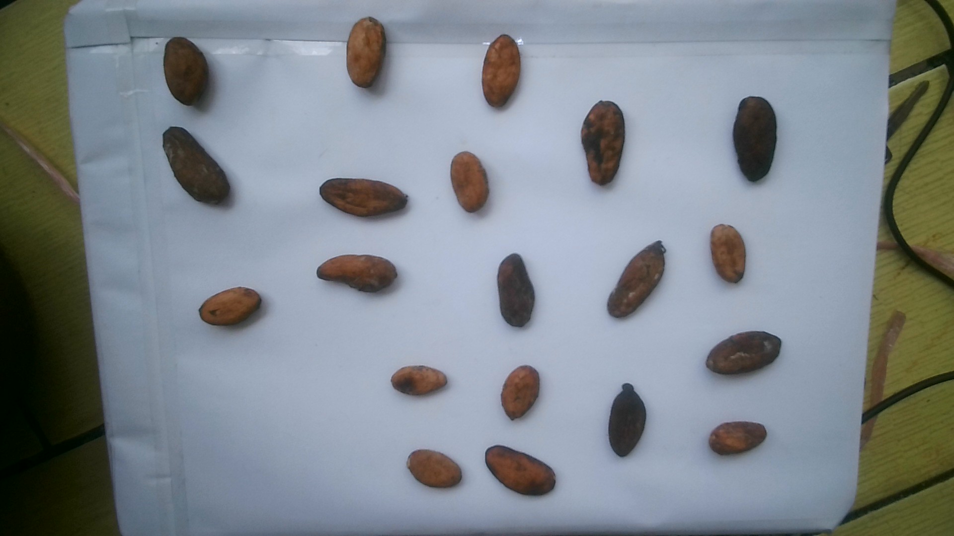 label (label-ibiqf) - Roboflow Universe