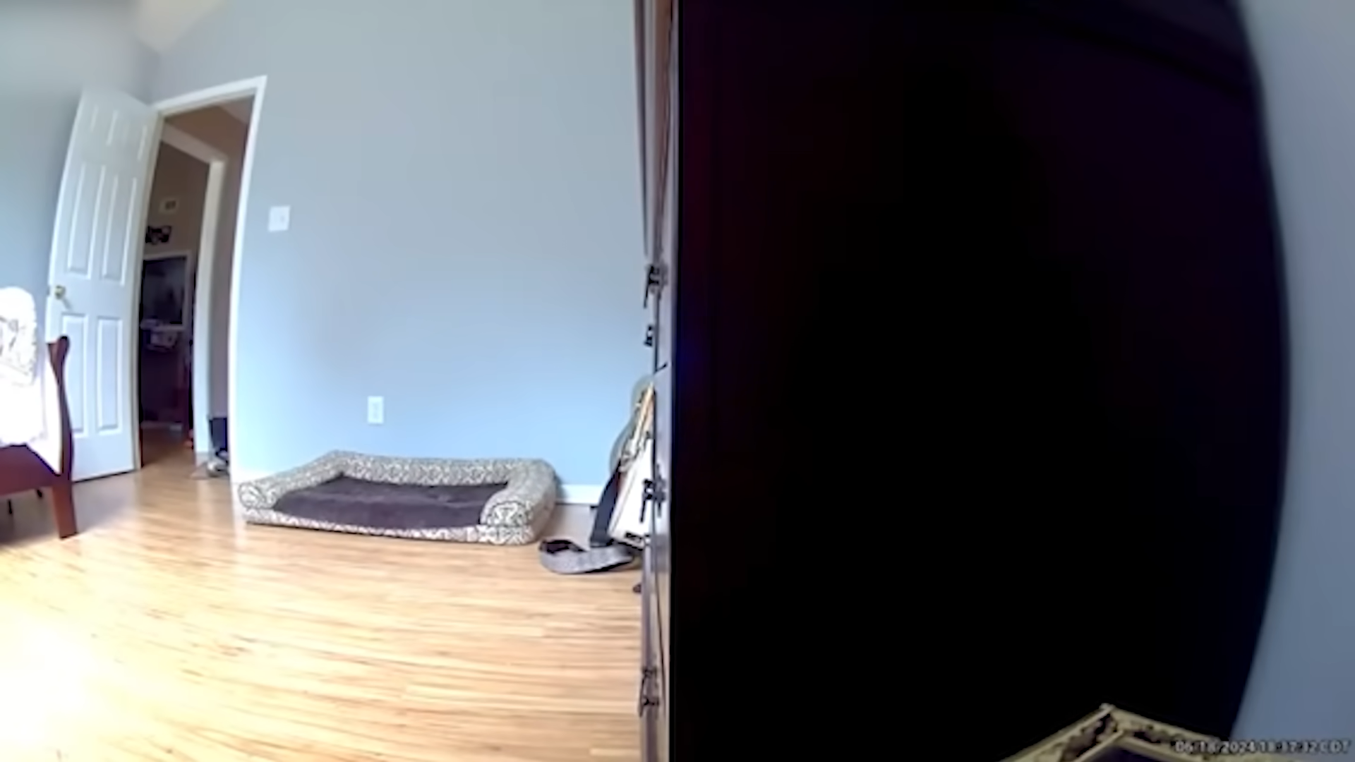 Human/Not human Object Detection Model by Tomas