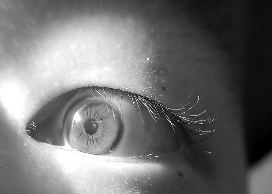 Irisfinal Object Detection Dataset By Irisfinal 