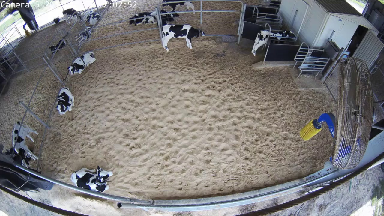 text2 Object Detection Dataset by cow