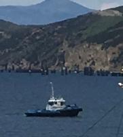 SeaVision - Roboflow Universe