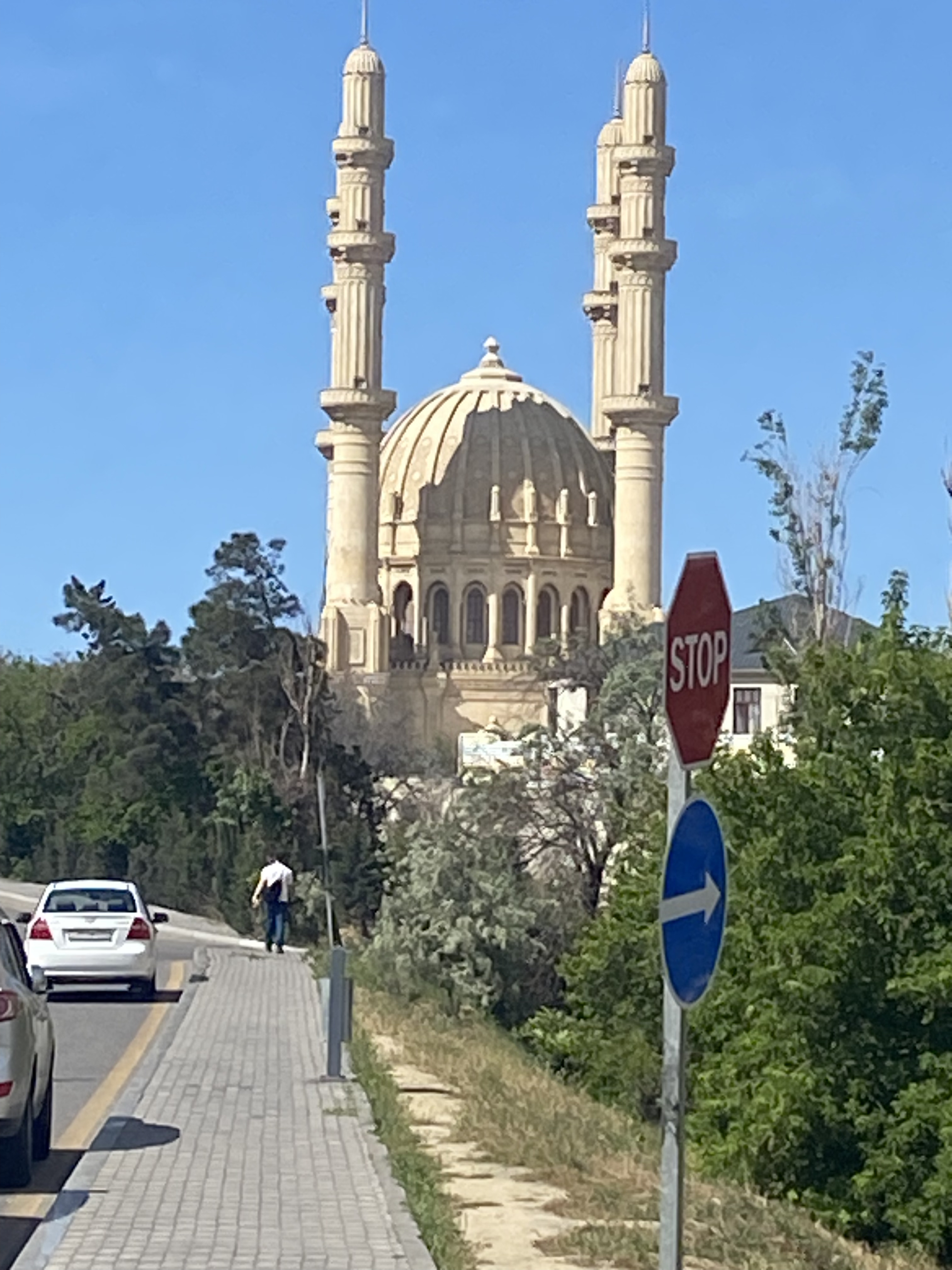 Task final Object Detection Model by ASOU