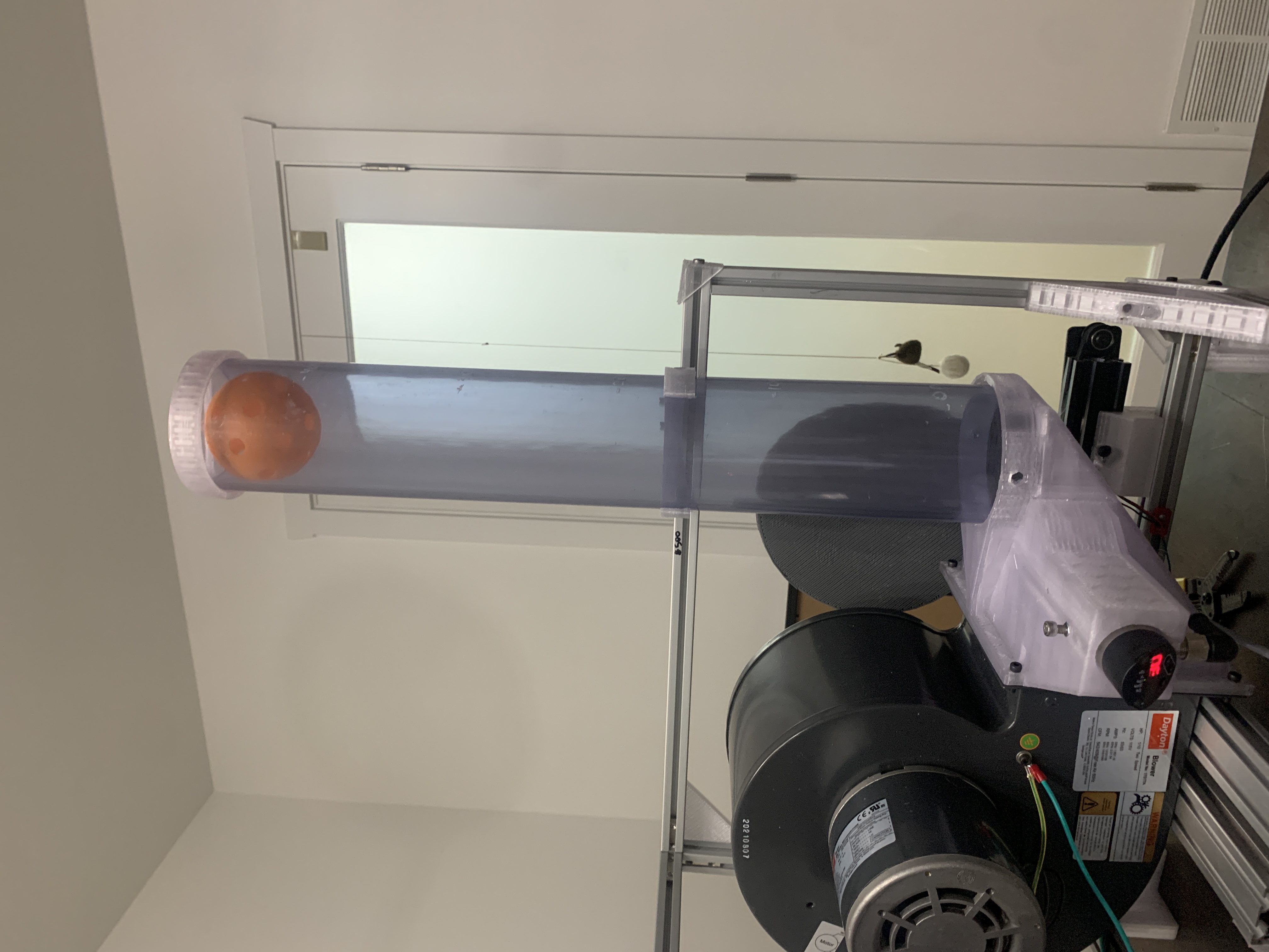 First (first-tg3el) - Roboflow Universe