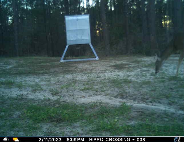 Animal repellent system Object Detection Model by animal detection