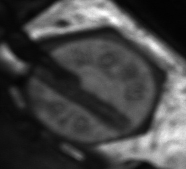 Lineal Bolt Top screw Instance Segmentation Dataset by ALTEN