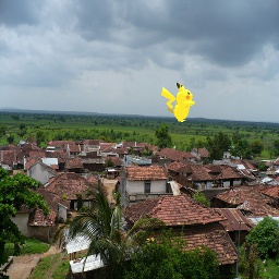 pika Object Detection Dataset and Pre-Trained Model by tan1