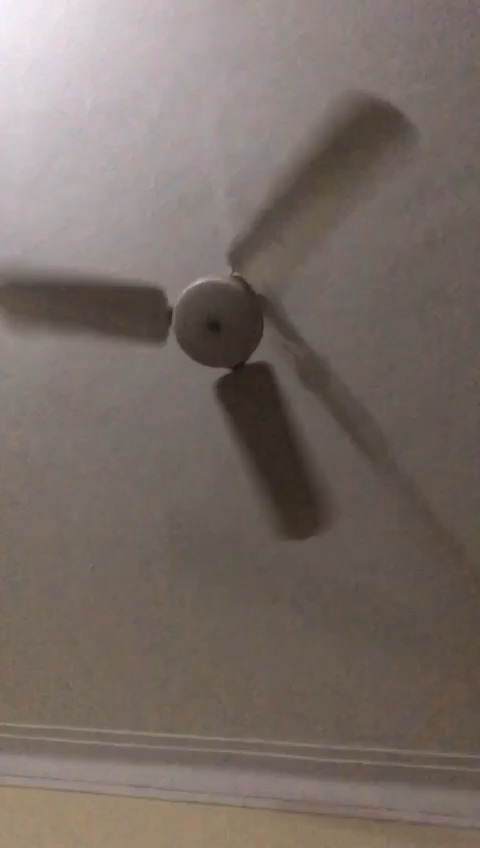Ceiling Fan Video Object Detection Dataset By Salman