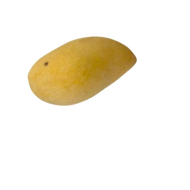 Dataset of Mango Instance Segmentation Dataset by Dataset of Mango