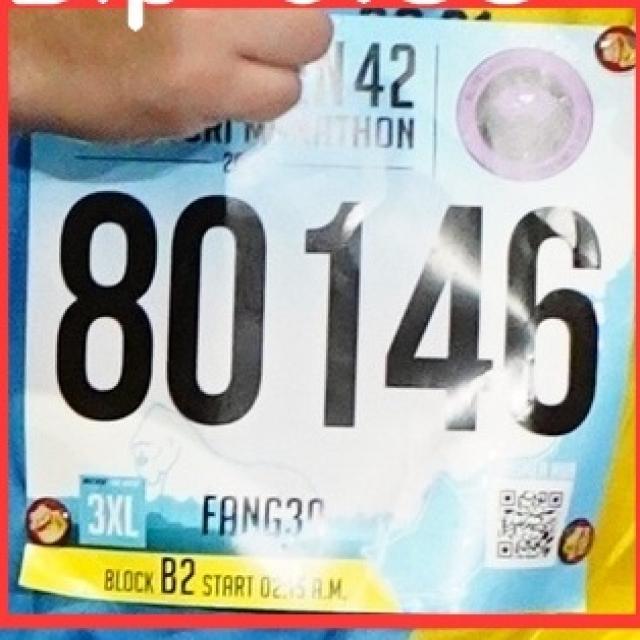 bib_number Object Detection Dataset by Samuel