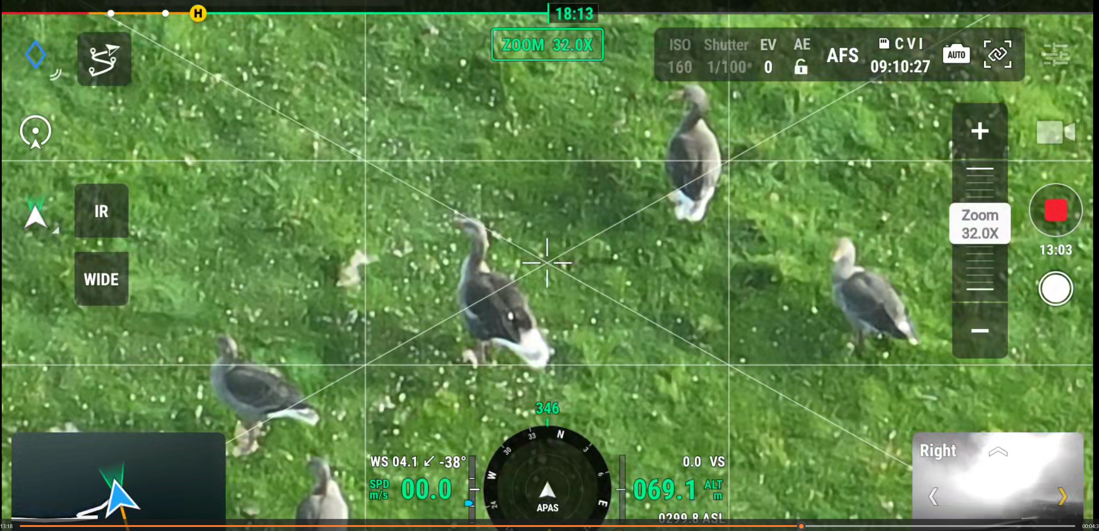 Goose Object Detection Model by rstewartb
